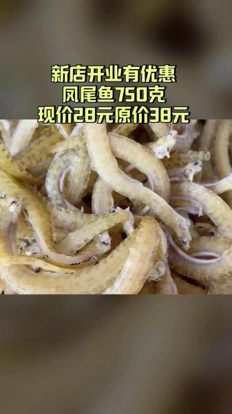 凤尾鱼批发价格多少钱一斤_凤尾鱼批发价格走势-第2张图片-山城妙识