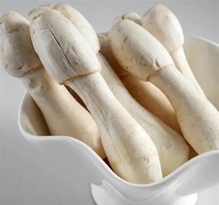 鸡腿菇不能和什么一起吃_鸡腿菇食用禁忌有哪些-第2张图片-山城妙识 鸡腿菇不能和什么一起吃_鸡腿菇食用禁忌有哪些-第2张图片-山城妙识