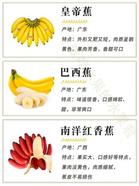 香蕉的种类有哪些_香蕉品种怎么挑选-第3张图片-山城妙识