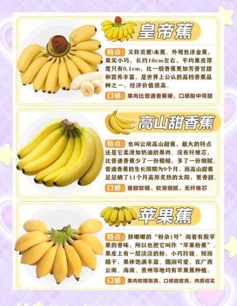 香蕉的种类有哪些_香蕉品种怎么挑选-第2张图片-山城妙识