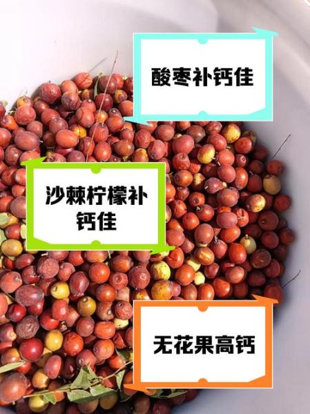 补钙的水果有哪些_吃什么水果补钙最快-第2张图片-山城妙识