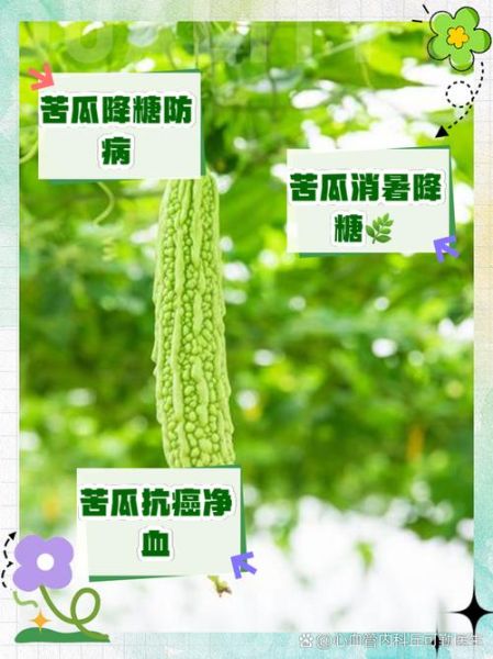 苦瓜的药用价值有哪些_苦瓜怎么吃降血糖-第1张图片-山城妙识 苦瓜的药用价值有哪些_苦瓜怎么吃降血糖-第1张图片-山城妙识