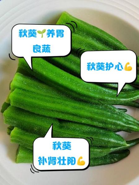 秋葵的功效与作用壮阳吗_秋葵怎么吃补肾效果好-第3张图片-山城妙识 秋葵的功效与作用壮阳吗_秋葵怎么吃补肾效果好-第3张图片-山城妙识
