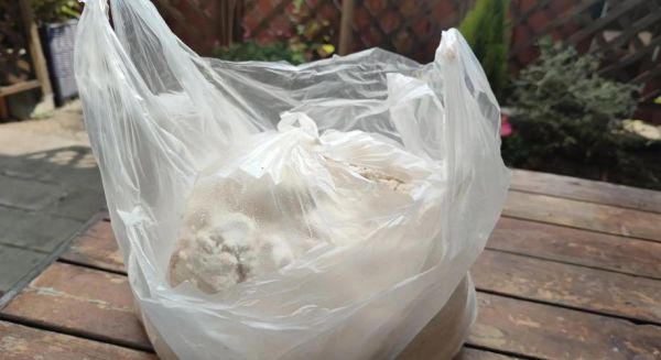 豆渣做肥料怎么处理_豆渣沤肥要多久才能用-第2张图片-山城妙识 豆渣做肥料怎么处理_豆渣沤肥要多久才能用-第2张图片-山城妙识