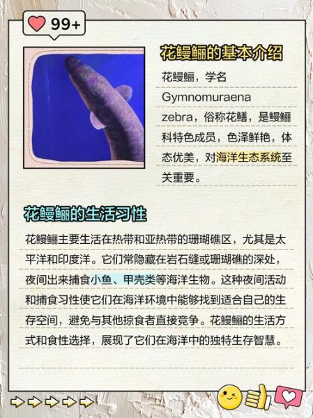 花鳗鲡鱼图片_如何辨别真假-第1张图片-山城妙识