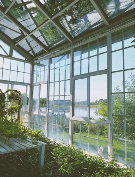 蕃薯藤tina庄园门票价格_蕃薯藤tina庄园怎么玩-第3张图片-山城妙识