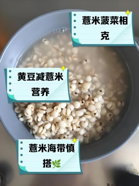 薏米不能和什么一起吃_吃薏米的禁忌有哪些-第2张图片-山城妙识 薏米不能和什么一起吃_吃薏米的禁忌有哪些-第2张图片-山城妙识