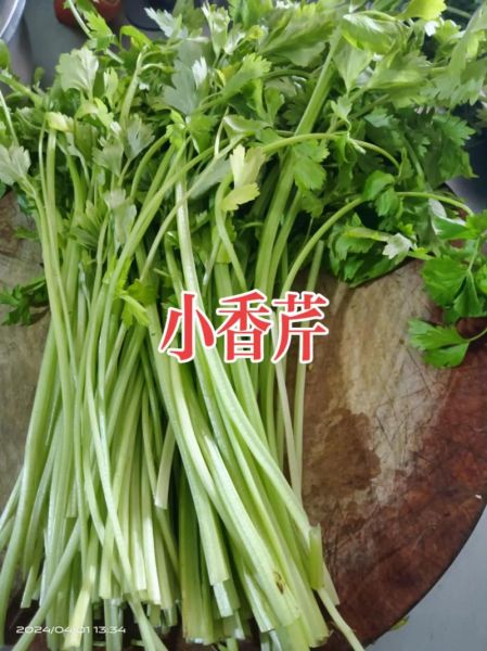 包饺子用粗芹菜还是细芹菜_哪个更香-第1张图片-山城妙识 包饺子用粗芹菜还是细芹菜_哪个更香-第1张图片-山城妙识