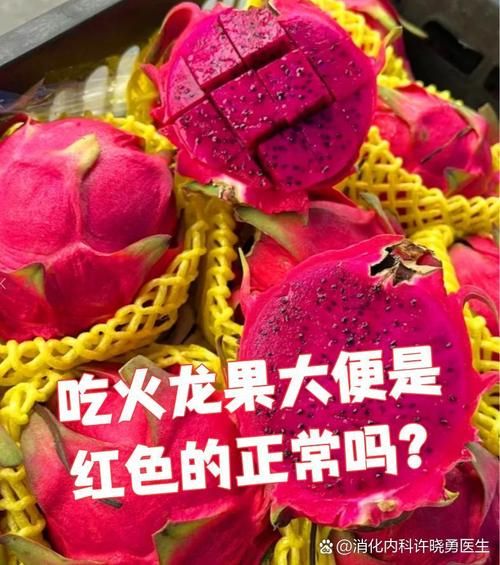 吃火龙果便血吓死了_火龙果便血正常吗-第2张图片-山城妙识