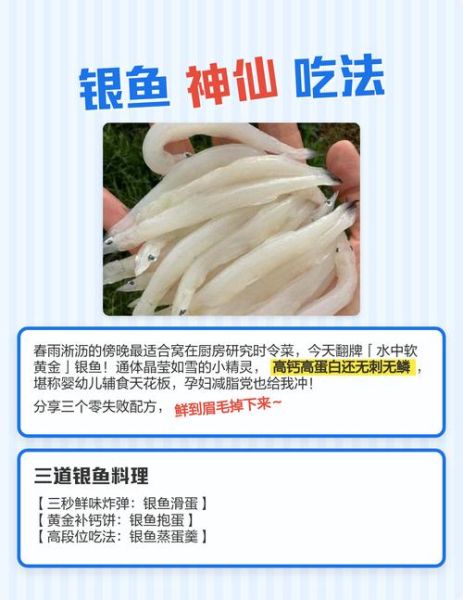 银鱼怎么吃最有营养_银鱼适合宝宝吃吗-第1张图片-山城妙识