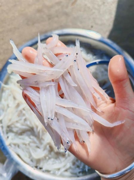 银鱼怎么吃最有营养_银鱼适合宝宝吃吗-第3张图片-山城妙识