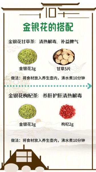 金银花茶泡水喝的功效与作用_金银花茶怎么喝才不上火-第1张图片-山城妙识