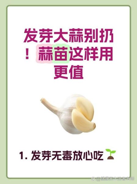 大蒜发芽了还能吃吗_大蒜发芽了怎么处理-第1张图片-山城妙识