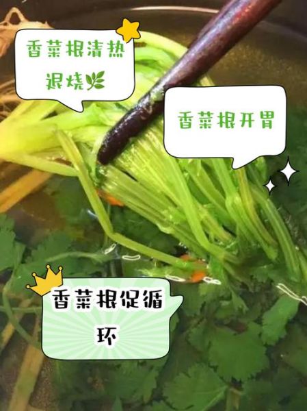 香菜根煮水洗脸有什么好处_怎么用效果最好-第2张图片-山城妙识