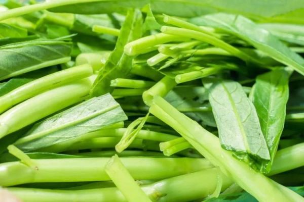 通心菜为什么叫抽筋菜_通心菜吃了会抽筋吗-第2张图片-山城妙识