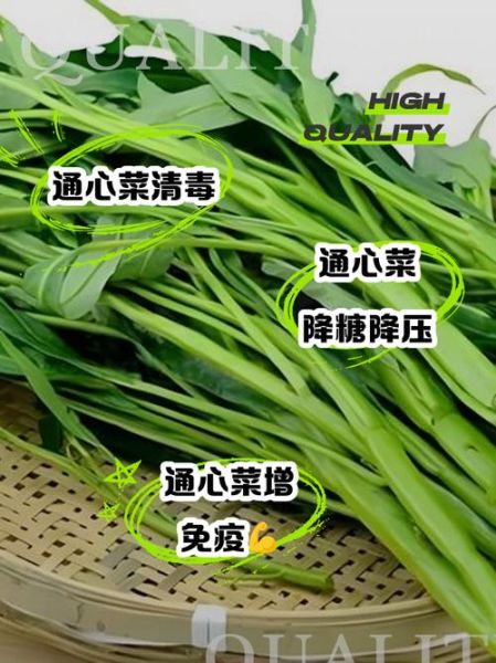 通心菜为什么叫抽筋菜_通心菜吃了会抽筋吗-第3张图片-山城妙识