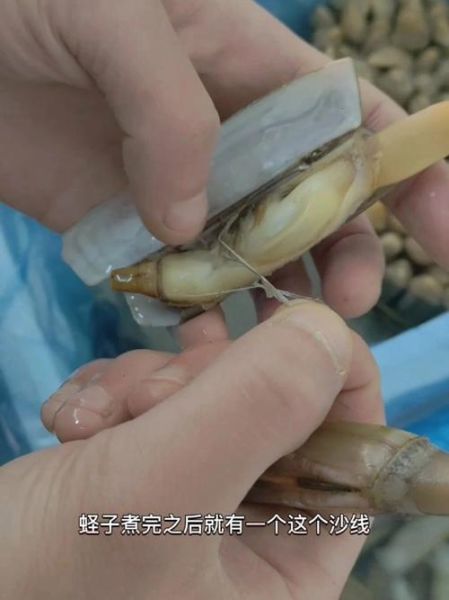 蛏子怎么吃_蛏子哪里不能吃-第1张图片-山城妙识