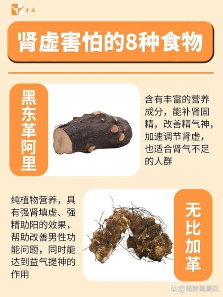 肾阳虚吃什么食物好_肾阳虚食补大全-第3张图片-山城妙识