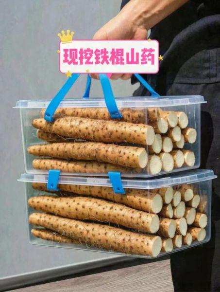 铁棍山药怎么做好吃_铁棍山药的做法大全集-第2张图片-山城妙识