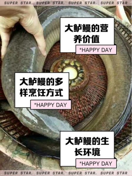 鲈鳗鱼的营养价值_适合什么人吃-第1张图片-山城妙识