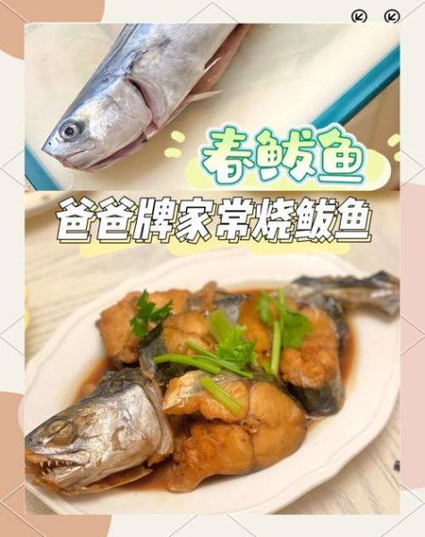 鲅鱼怎么做最好吃清炖_清炖鲅鱼的家常做法-第1张图片-山城妙识