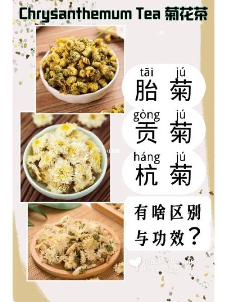 贡菊和杭白菊的区别_贡菊和杭白菊哪个好-第1张图片-山城妙识