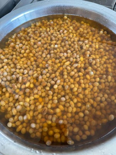 黄酱和大酱的区别_哪个更适合炖肉-第1张图片-山城妙识 黄酱和大酱的区别_哪个更适合炖肉-第1张图片-山城妙识