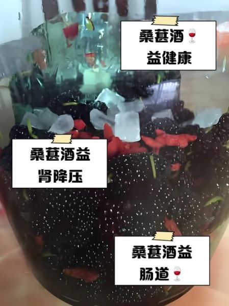桑葚酒的功效与作用有哪些_桑葚酒主治什么-第2张图片-山城妙识 桑葚酒的功效与作用有哪些_桑葚酒主治什么-第2张图片-山城妙识