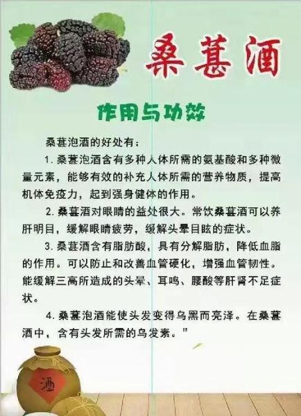 桑葚酒的功效与作用有哪些_桑葚酒主治什么-第1张图片-山城妙识 桑葚酒的功效与作用有哪些_桑葚酒主治什么-第1张图片-山城妙识