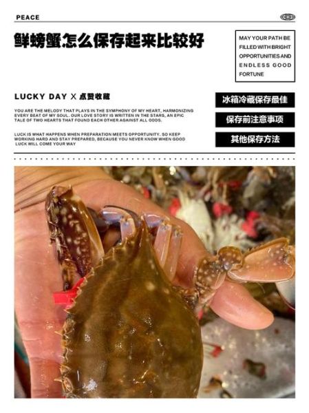 活螃蟹怎么保存才新鲜_活螃蟹能放冰箱吗-第2张图片-山城妙识
