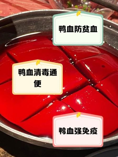 鸭血不适合什么人吃_鸭血禁忌人群有哪些-第1张图片-山城妙识