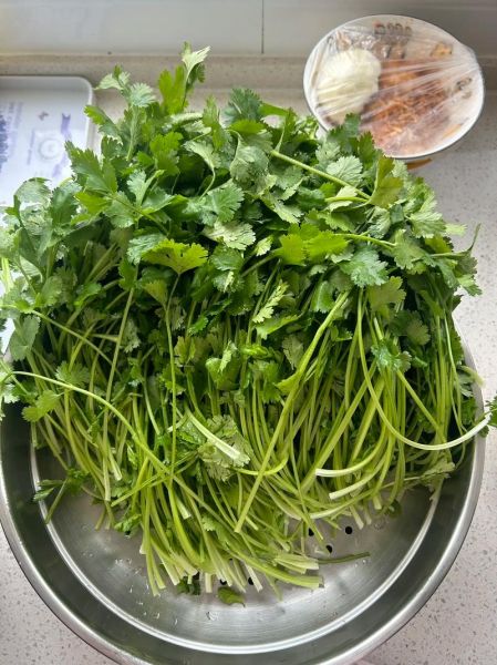 香菜素馅饺子馅怎么调好吃_香菜素馅饺子馅的做法窍门-第1张图片-山城妙识