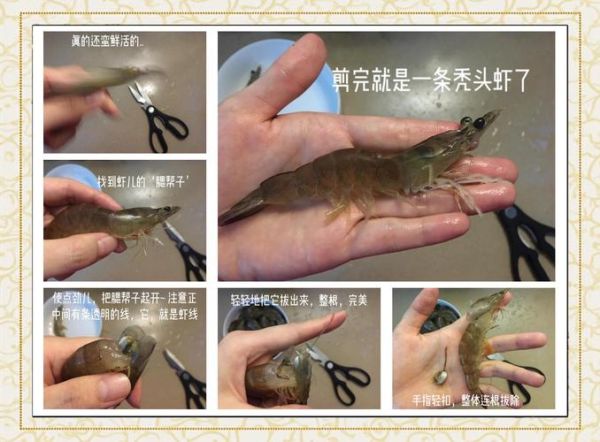 青虾怎么处理干净_青虾去虾线技巧-第1张图片-山城妙识 青虾怎么处理干净_青虾去虾线技巧-第1张图片-山城妙识