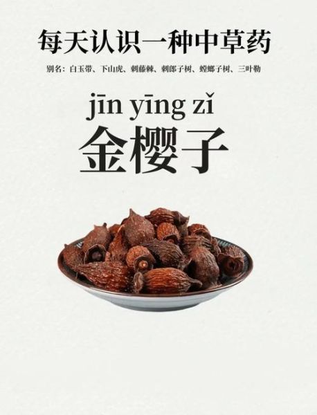 金樱子图片长什么样_金樱子有什么功效-第3张图片-山城妙识