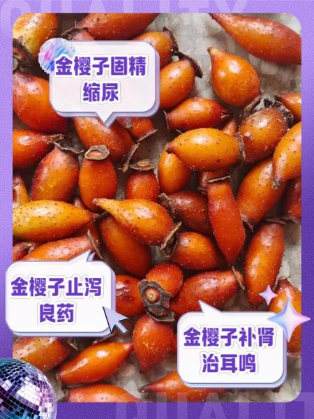 金樱子图片长什么样_金樱子有什么功效-第2张图片-山城妙识