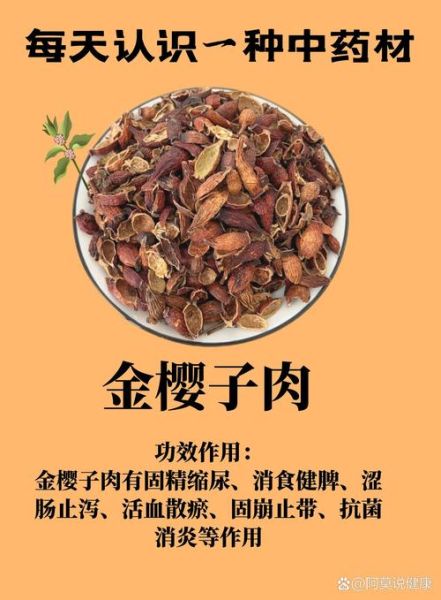 金樱子图片长什么样_金樱子有什么功效-第1张图片-山城妙识