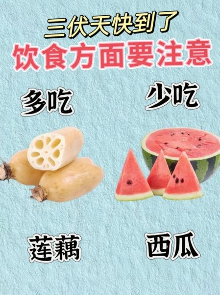 夏季饮食小常识_夏天吃什么好-第1张图片-山城妙识 夏季饮食小常识_夏天吃什么好-第1张图片-山城妙识