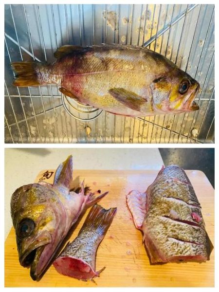 石斑鱼头煲汤的做法_石斑鱼头汤怎么煲才白-第2张图片-山城妙识 石斑鱼头煲汤的做法_石斑鱼头汤怎么煲才白-第2张图片-山城妙识