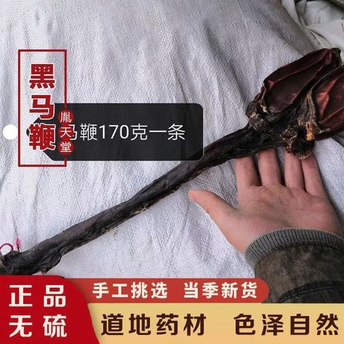 马鞭是什么_马鞭有哪些种类-第2张图片-山城妙识
