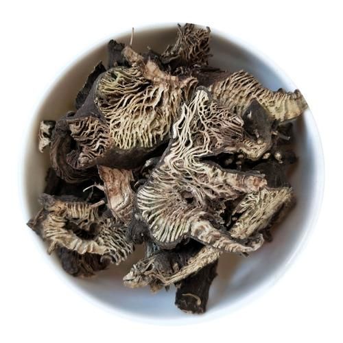 升麻图片长什么样_升麻真假如何辨别-第2张图片-山城妙识