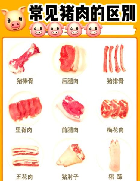 蹄髈和肘子的区别是哪个部位_图解猪前腿后腿-第2张图片-山城妙识
