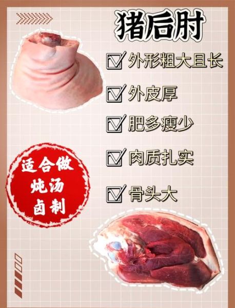 蹄髈和肘子的区别是哪个部位_图解猪前腿后腿-第3张图片-山城妙识