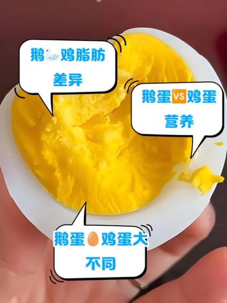 鹅蛋和鸡蛋哪个营养价值高_孕妇吃鹅蛋还是鸡蛋-第1张图片-山城妙识
