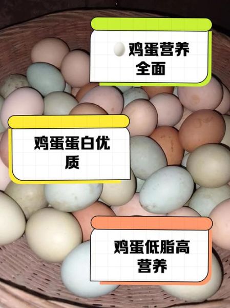鸡蛋的营养价值有哪些_一天吃几个鸡蛋最健康-第3张图片-山城妙识