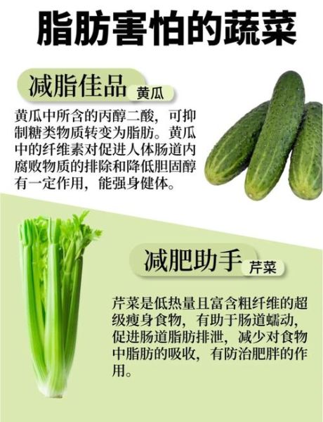 青菜减肥法怎么吃_一周能瘦几斤-第2张图片-山城妙识
