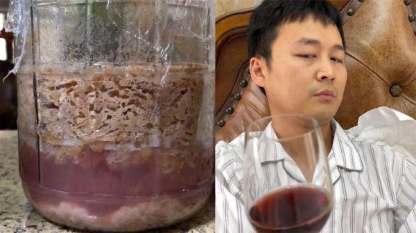 自己做葡萄酒有毒吗_自酿葡萄酒中毒风险-第2张图片-山城妙识