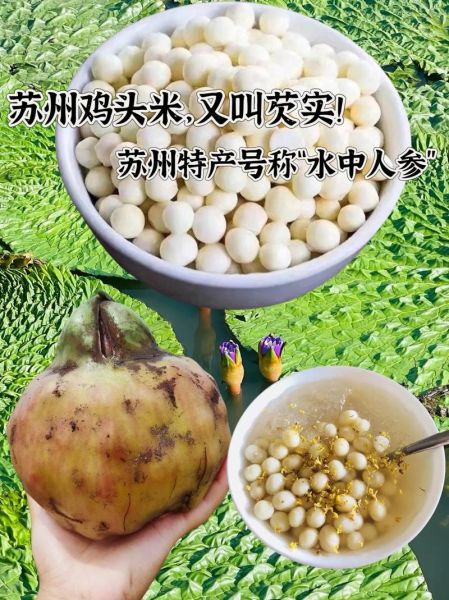 芡实哪里产的最好_芡实产地排名-第1张图片-山城妙识 芡实哪里产的最好_芡实产地排名-第1张图片-山城妙识