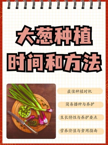 大葱什么时候种最合适_大葱种植方法步骤详解-第1张图片-山城妙识