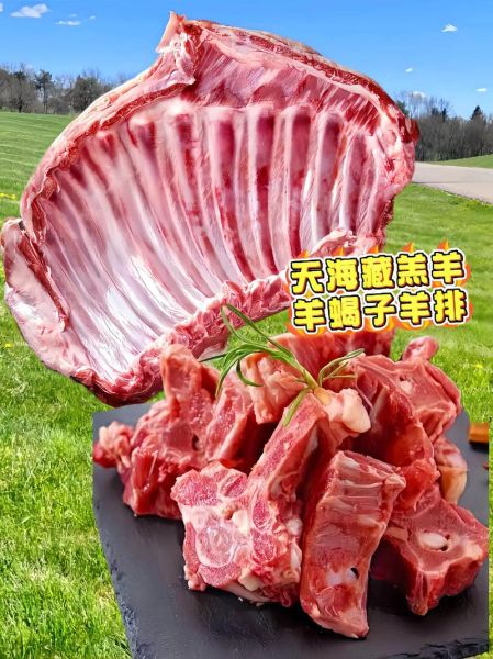 羊蝎子是羊的哪个部位_羊蝎子图片解剖图-第3张图片-山城妙识 羊蝎子是羊的哪个部位_羊蝎子图片解剖图-第3张图片-山城妙识