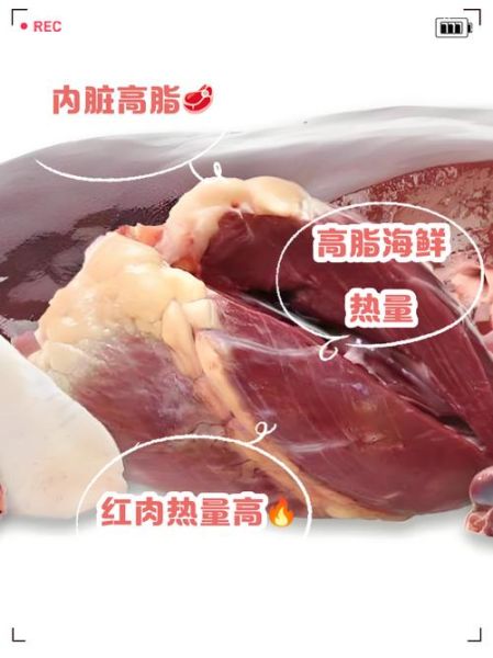 高脂肪食物有哪些_高脂肪食物一览表-第3张图片-山城妙识